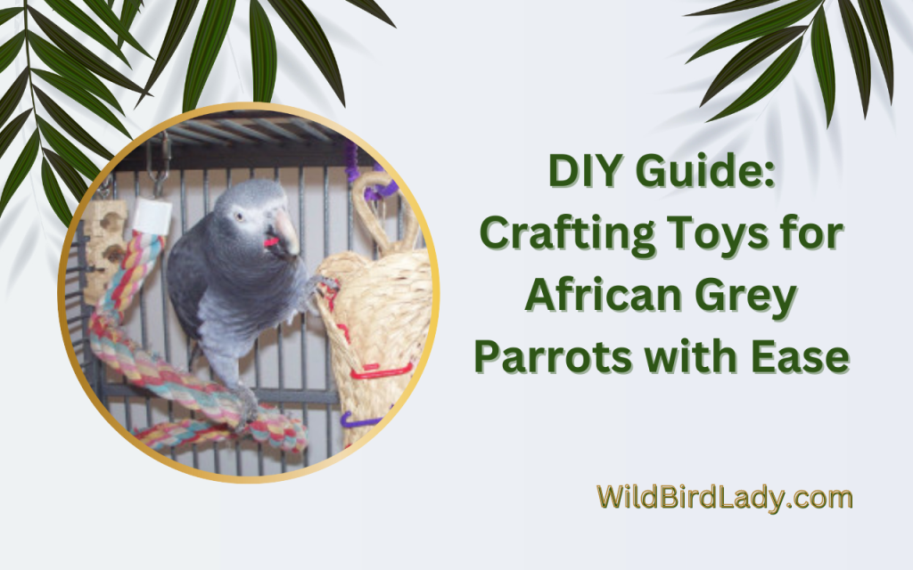 Juvenile Red-Tailed Hawk: How to Identify This Young Raptor in the Wild