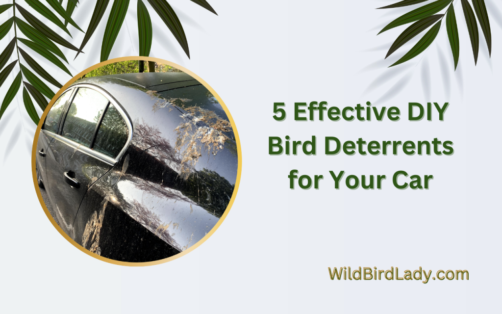 5 Effective DIY Bird Deterrents for Your Car