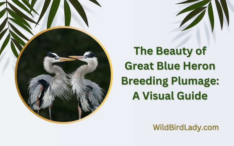 Baby Heron: Life, Development, and Survival of These Graceful Waders