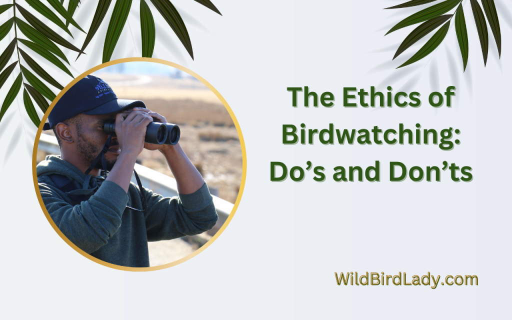 Birdwatching 101: The Ultimate Guide To Get Started