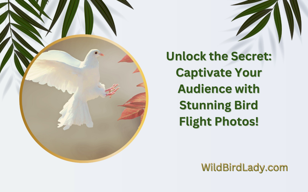 Unlock the Secret: Captivate Your Audience with Stunning Bird Flight ...