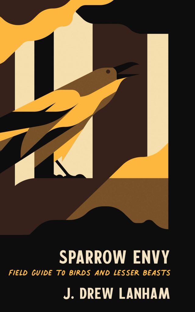 Sparrow Envy: Uncovering the Secrets of Birds and Lesser Beasts